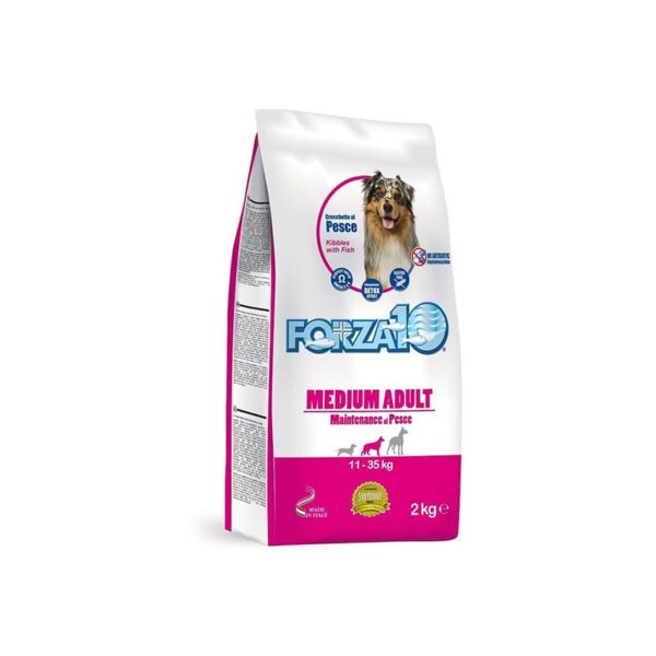 Gyvūnų priežiūros centras | BoNiVeta