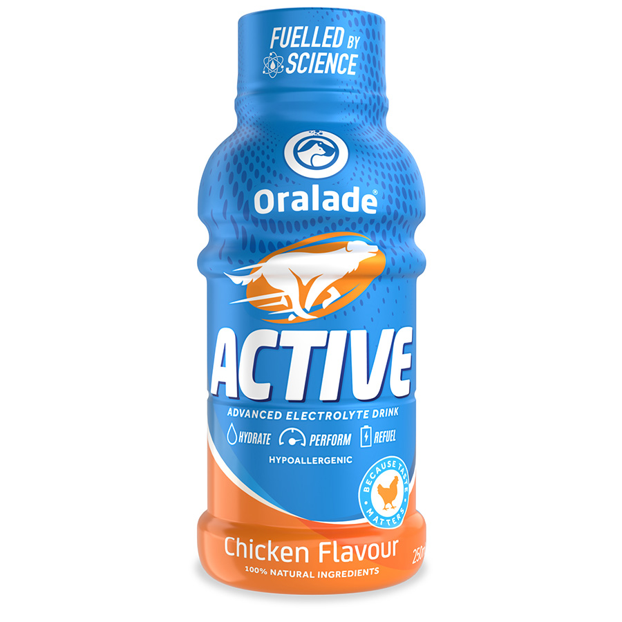 Oralade Active Chicken Flavour For Dogs 250ml - BoNiVeta